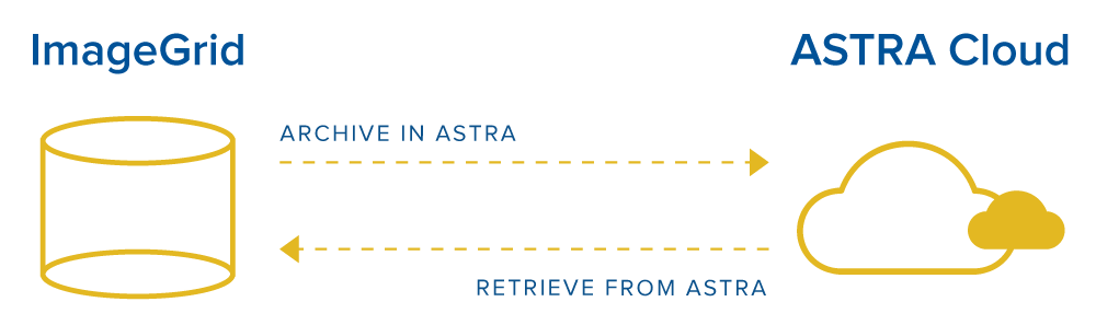 ASTRA™ Cloud Medical Image Backup & Archiving | Candelis